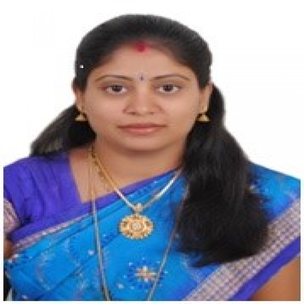 Dr. Ambedkar Institute of Technology - Faculty